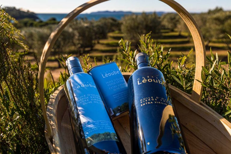 La culture de l'olivier au Château Léoube - Tellerrand-Stories en Français